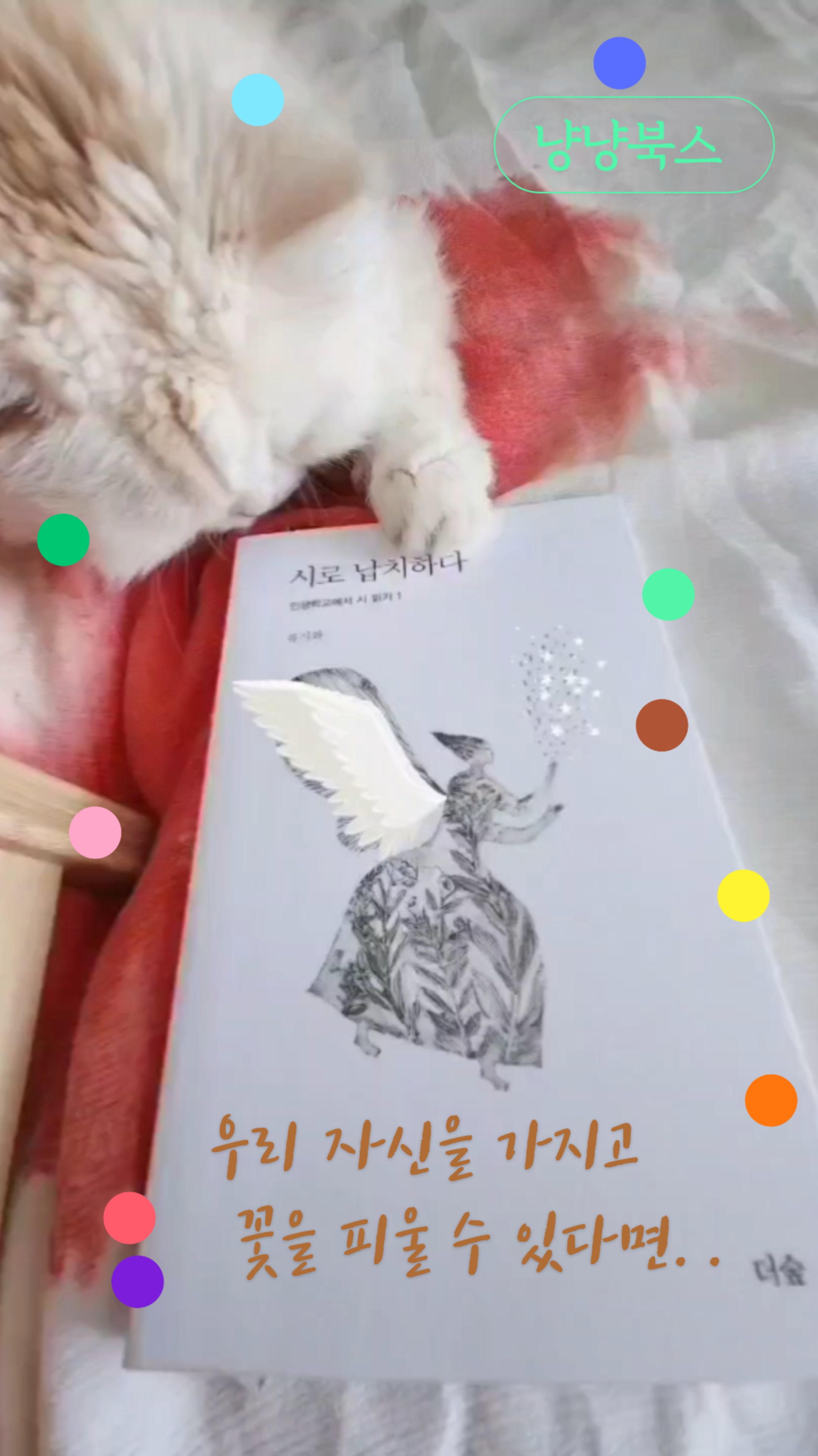 사막(오르텅스 블루)시로 납치하다(류시화)책추천 : 네이버 블로그