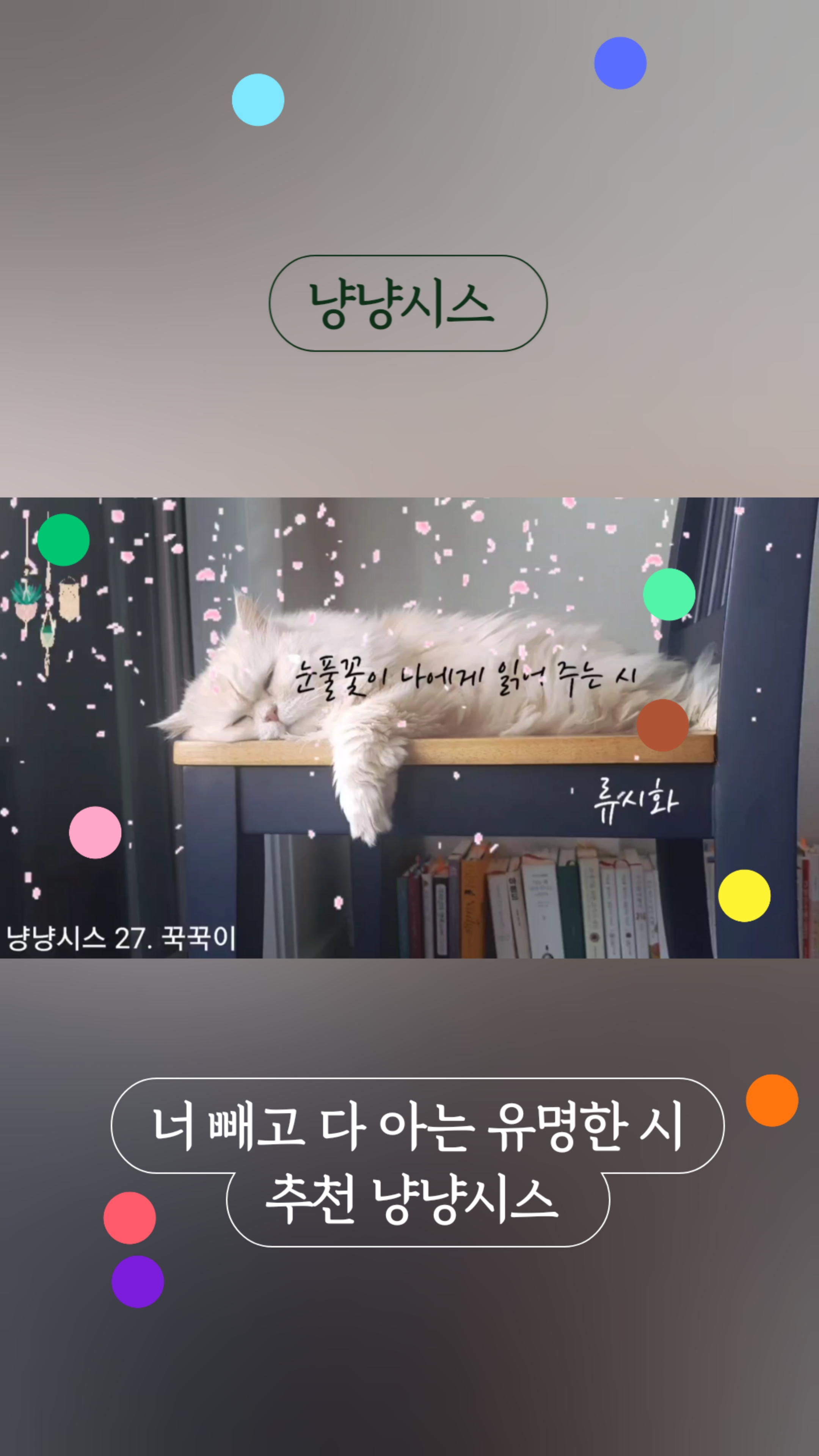 눈풀꽃이 나에게 읽어 주는 시(류시화) 꽃샘바람에 흔들린다면 너는 꽃(책추천) : 네이버 블로그